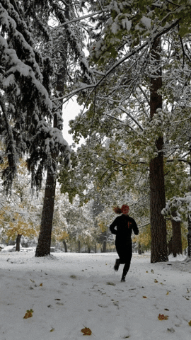 Run GIF - Find & Share on GIPHY