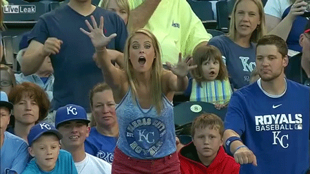 Baseball Royals GIF by Digg - Find & Share on GIPHY