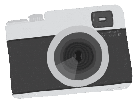 Camera Flash Animation Gif