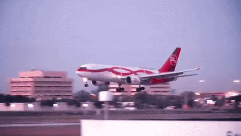 Miami Airport Travel GIF - Find & Share on GIPHY