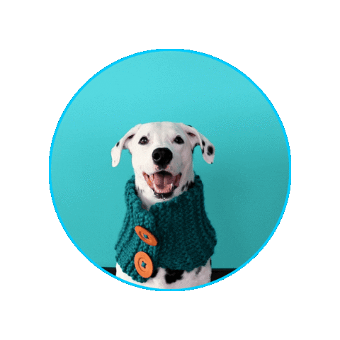 STASH lounge GIFs on GIPHY - Be Animated