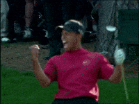 Tiger Woods Gif