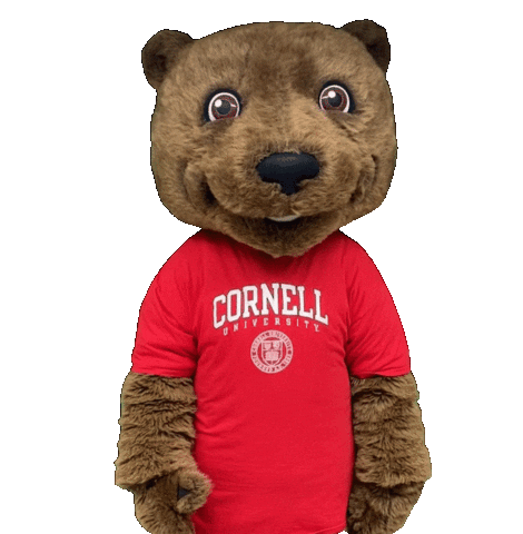Touchdown Red Cornell T-Shirt Sticker Gifs GIFs on GIPHY - Be Animated
