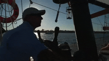 Florida GIFs - Find & Share on GIPHY