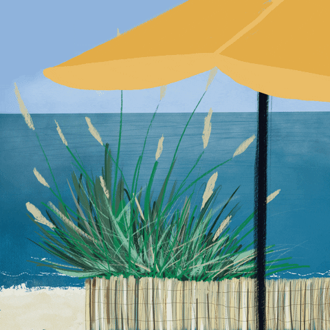 Sommer Strand GIF by Leofine - Find & Share on GIPHY