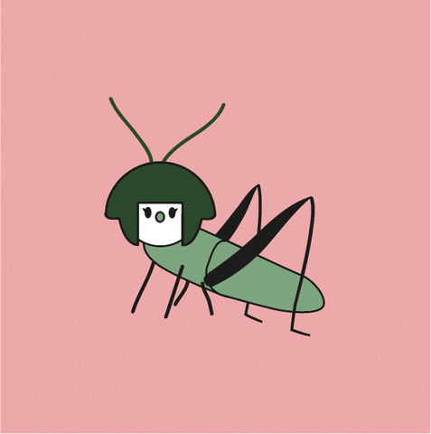 Jump Insect GIF - Find & Share on GIPHY