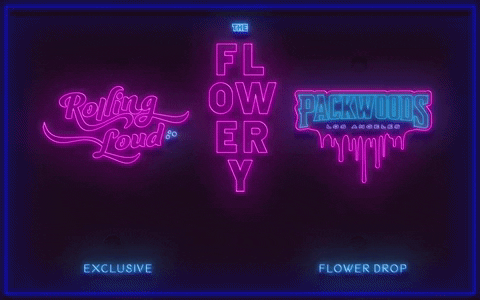 Dropping-flowers GIFs - Get the best GIF on GIPHY
