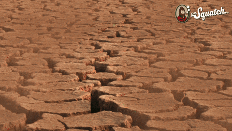 Cactus Desert GIF by DrSquatch - Find & Share on GIPHY