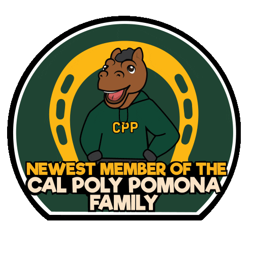 CPP Project CAMINOS GIFs on GIPHY - Be Animated