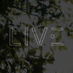 Live GIFs on GIPHY - Be Animated