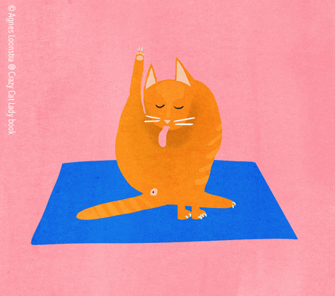 Yoga Move GIFs - Get the best GIF on GIPHY
