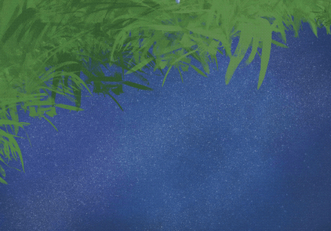 Evening Serenity GIFs - Get the best GIF on GIPHY