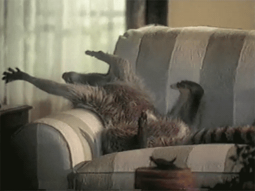Boys On Couch GIFs - Get the best GIF on GIPHY