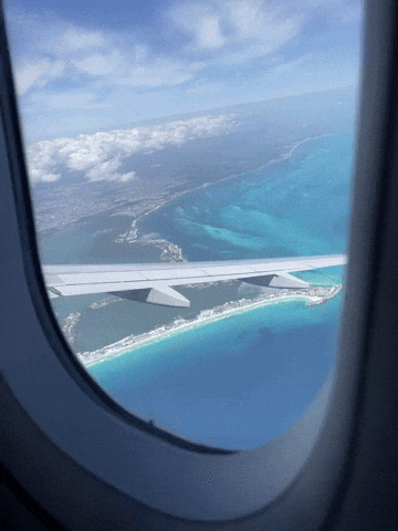 Mexico Beach GIFs - Get the best GIF on GIPHY