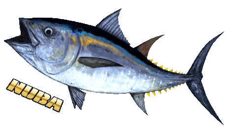Fishing Tuna Sticker by Yuki Competition for iOS & Android | GIPHY