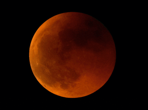 trump eclipse gif | Tag | PrimoGIF