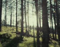 Trees Moving Gif