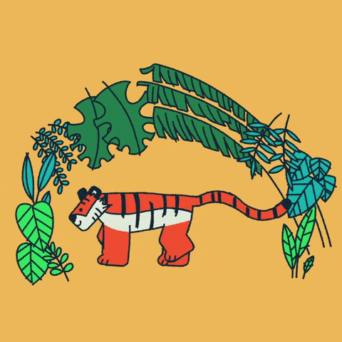 Art Animation GIF - Find & Share on GIPHY