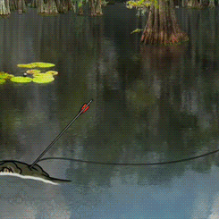 Swamp People GIF - Find & Share on GIPHY