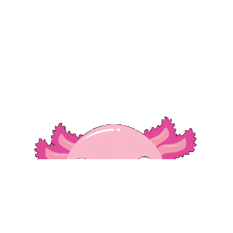 Girl Scouts Gateway Council GIFs on GIPHY - Be Animated