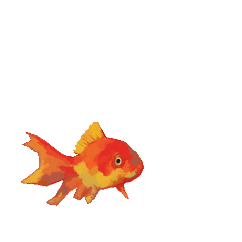 Transparent Fish Gif
