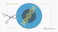 Gene Therapy Animation