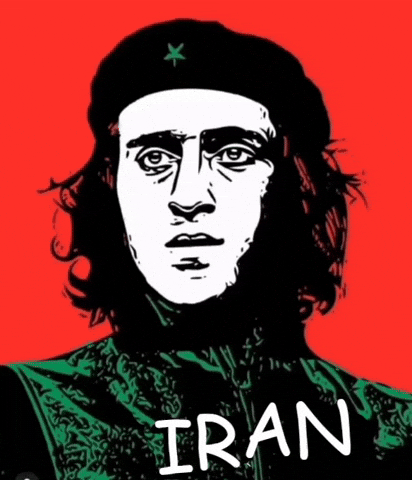 Freedom Iran GIF - Find & Share on GIPHY