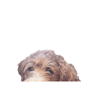 Commerce Title GIFs on GIPHY - Be Animated