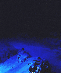 Lighting Of The Beacons GIFs - Get the best GIF on GIPHY