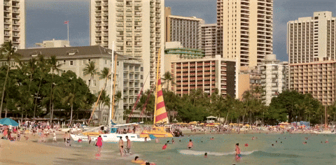 Honolulu GIFs - Get the best GIF on GIPHY