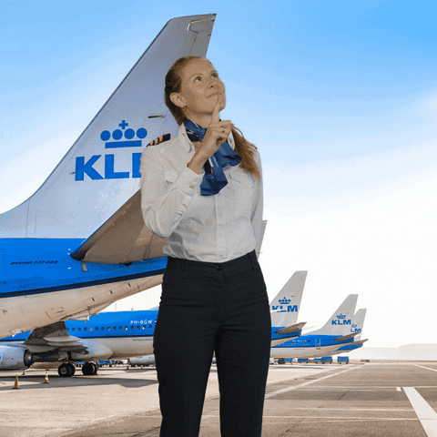 KLM Cockpit & Cabin Crew GIFs - Find & Share on GIPHY