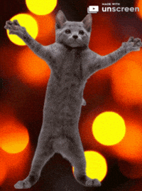Funny Dancing Cat Gif With Sound