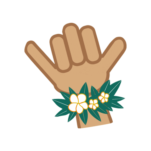 Belle Vie Hawaii GIFs on GIPHY - Be Animated