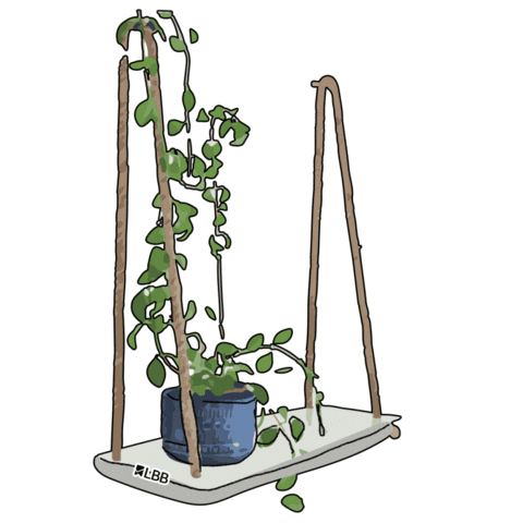 LBB GIFs on GIPHY - Be Animated