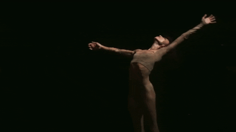Compagnia EgriBiancoDanza GIFs on GIPHY - Be Animated