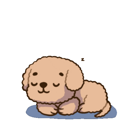 Dog Falling Asleep Gif