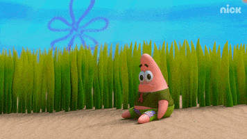 Kamp Koral GIFs on GIPHY - Be Animated