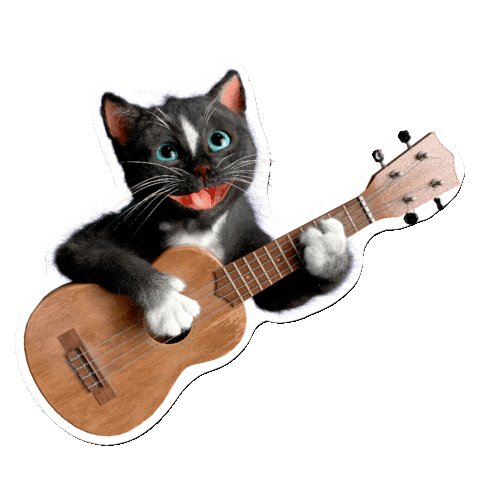 Animals Playing Instruments Gif