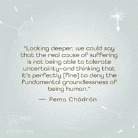 Uncertain Gif Uncertainty GIFs Find & Share On GIPHY