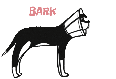 Dog Bark Gif