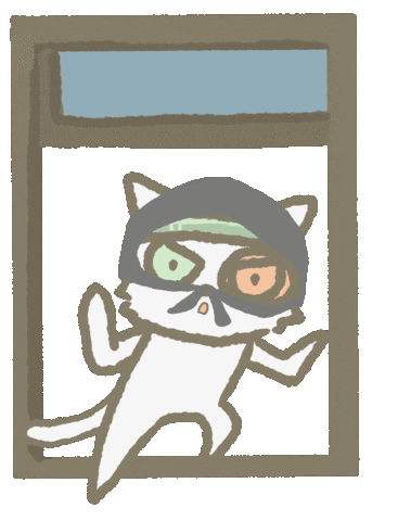 YOLO CAT GIFs on GIPHY - Be Animated