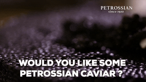 Petrossian-caviar GIFs - Get the best GIF on GIPHY