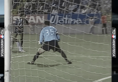 Concacaf GIF by TD Más - Find & Share on GIPHY