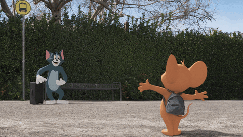 Warner Bros Hello GIF by Tom & Jerry - Find & Share on GIPHY