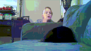 Rusty Spotted Cat GIFs - Find & Share on GIPHY