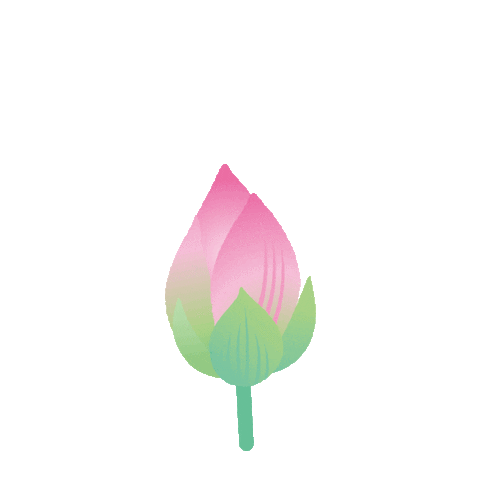 Lotus Flower Animated Gif