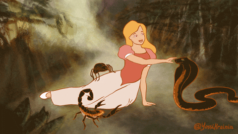 Snake Strike GIFs - Get the best GIF on GIPHY