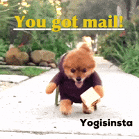 Youve Got This Gif