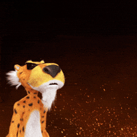 Cheetos Cat Gif