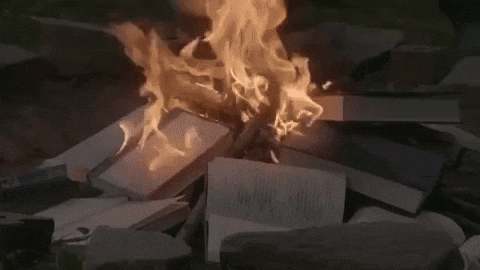 Burning Books GIFs - Get the best GIF on GIPHY